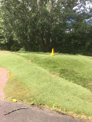 Disability Challengers Guildford - Play Equipment Removal - Playgrounds